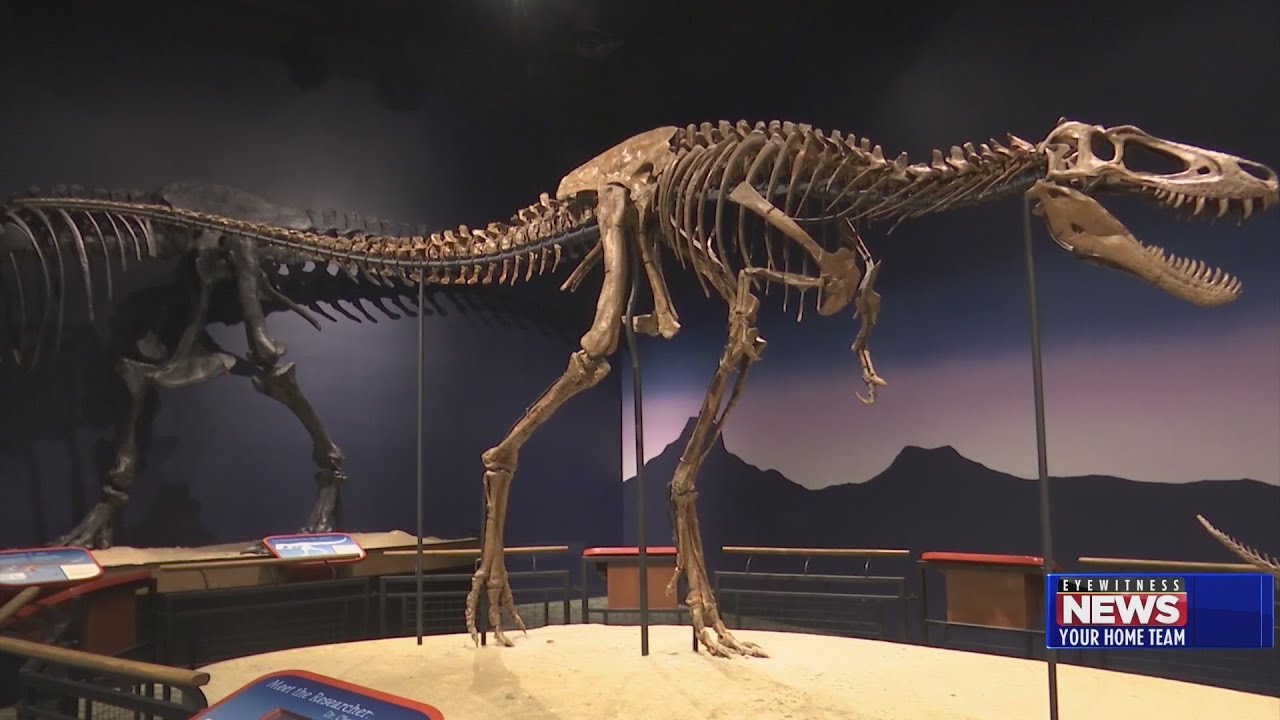 Jane is a T. Rex - YouTube