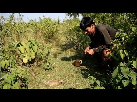 musa dhukli peten !मूसा धूकली पेटें | khorhta comedy video |