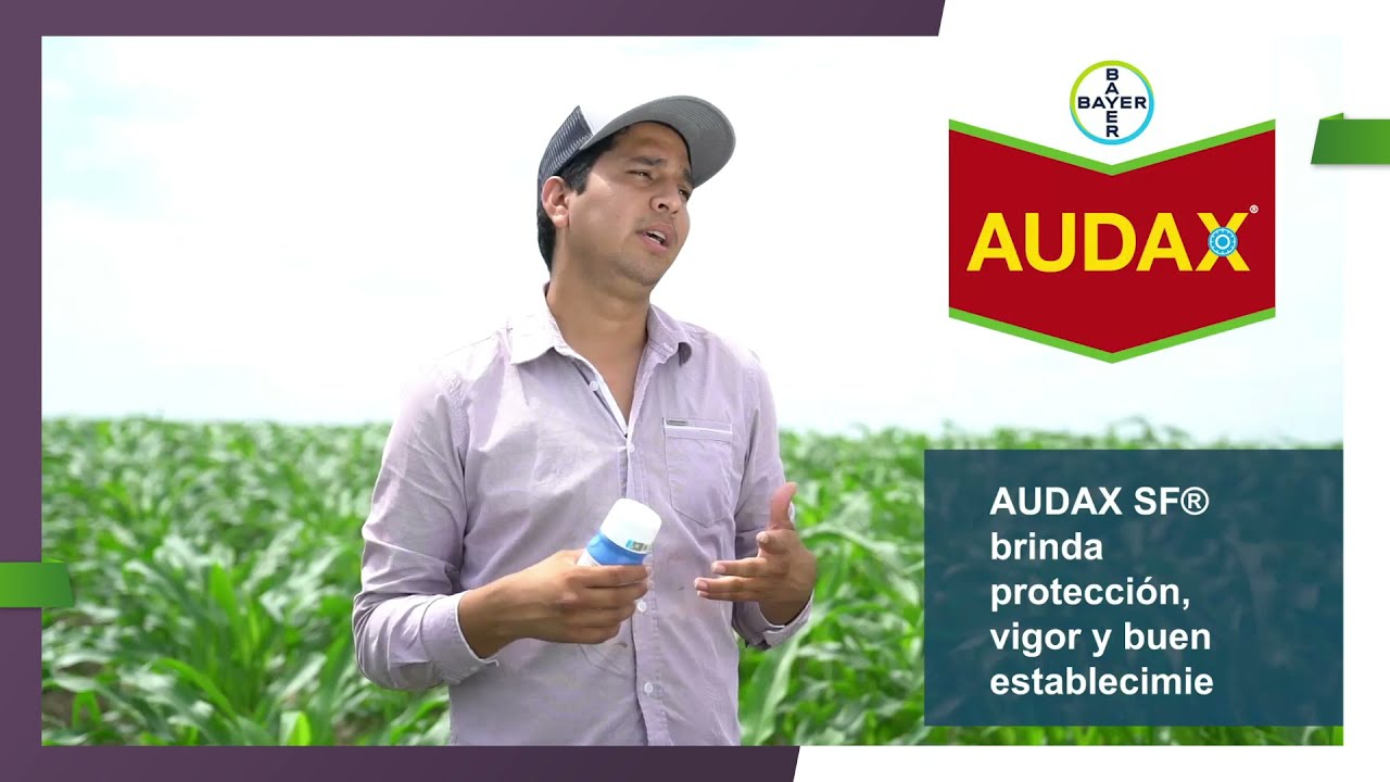 Tus cultivos protegidos con Audax | Agro Bayer Ecuador - YouTube