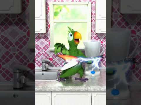 Talking Pierre the Parrot https://o7n.co/Pierre - YouTube