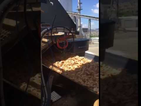 Moisture Measurement of Wood Chips for Pulp Mill - YouTube
