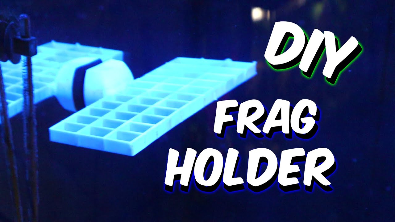DIY Coral Frag Rack ( Great For Green Star Polyps ) - A1A Adventures ...