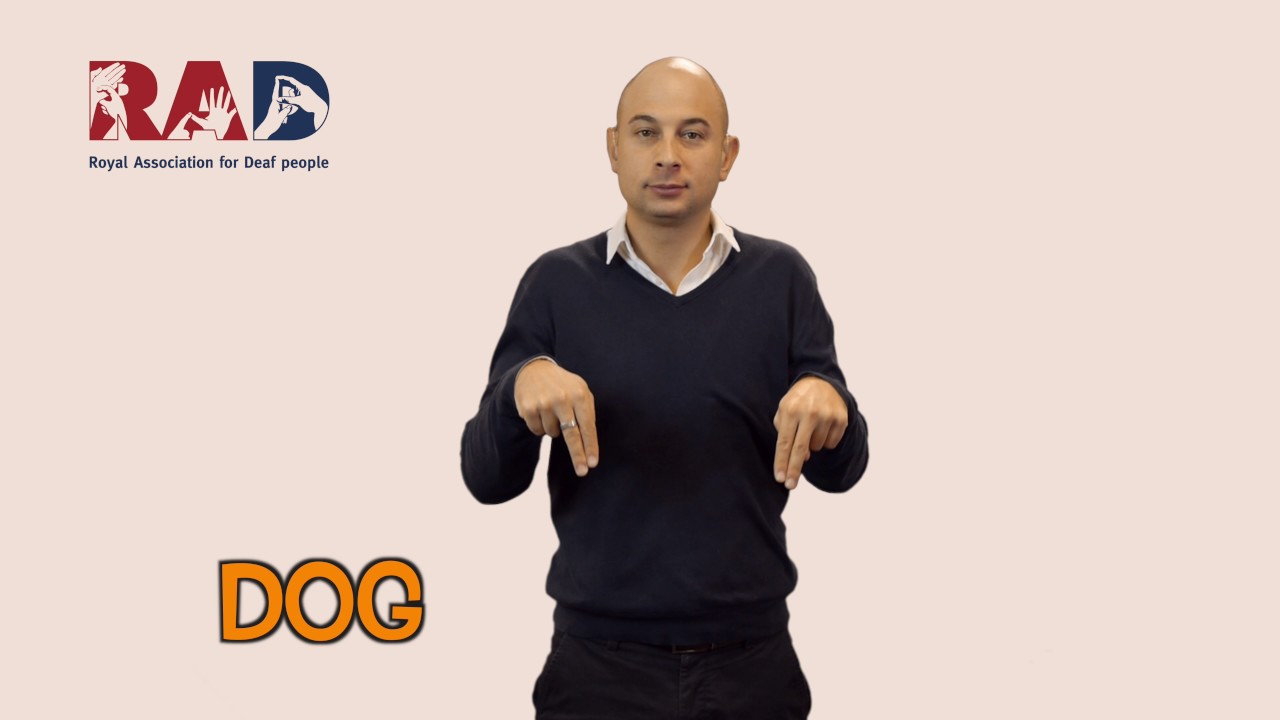 How To Sign Dog In British Sign Language BSL YouTube