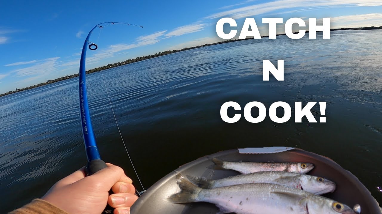 Catching The BIGGEST Mullet! - Catch N Cook - HD - YouTube
