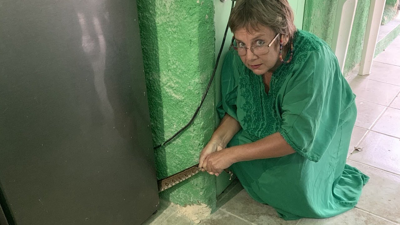 Miraggiodilux e Sofía Faddéeva Sknarina ON LINE - Fotografia ed ...