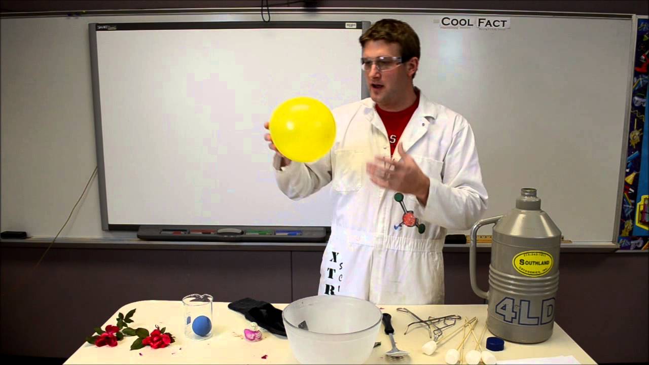 Teaching With Liquid Nitrogen - Extreme Science Labs - YouTube