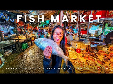 A Day in the Life at the Local Fish Market|Exploring the Largest Fish ...