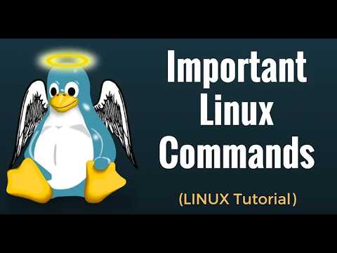 👉 Linux Network Commands | ping, ifconfig, & More Explained Practically ...