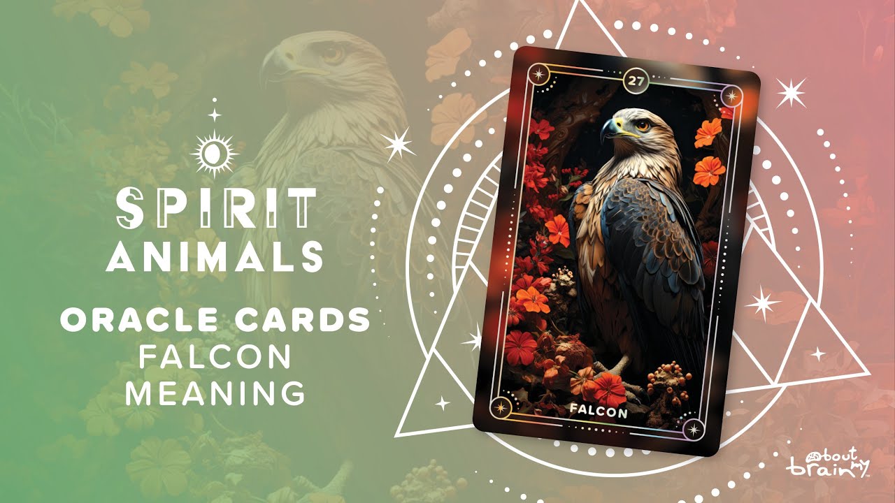 Falcon Spirit Animal | Symbolism & Meaning Explained - YouTube