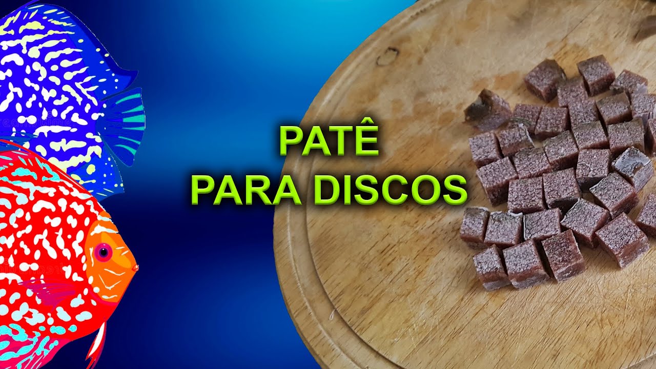 Patê para Discos - YouTube
