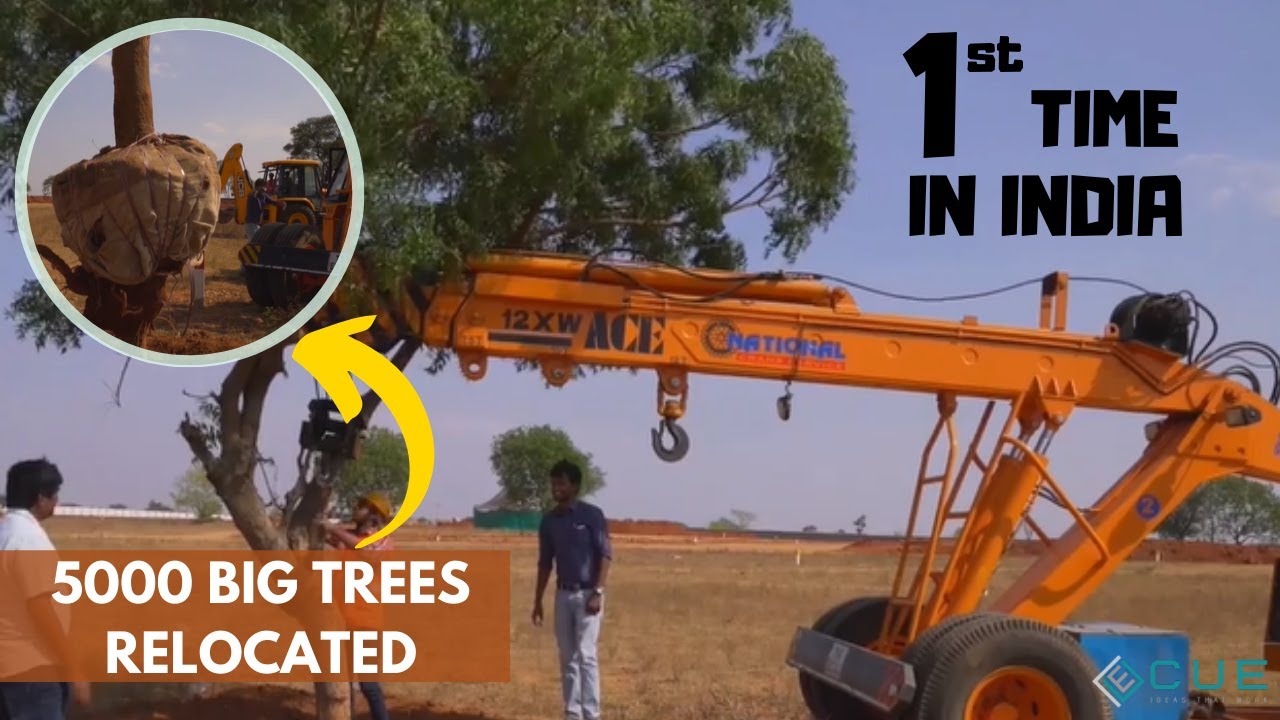 News Story On Relocating Big Trees in India for 1st time. - YouTube