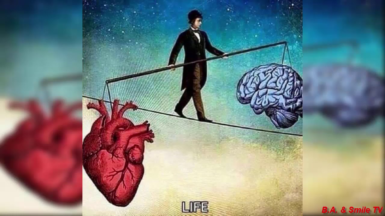These Pictures Speak Thousand Words Part 5 YouTube these-pictures-speak-thousand-words-part-5-youtube