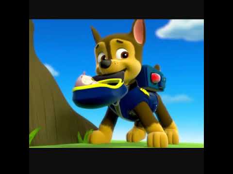 Paw patrol for Chase x tracker of the paw patrol - YouTube