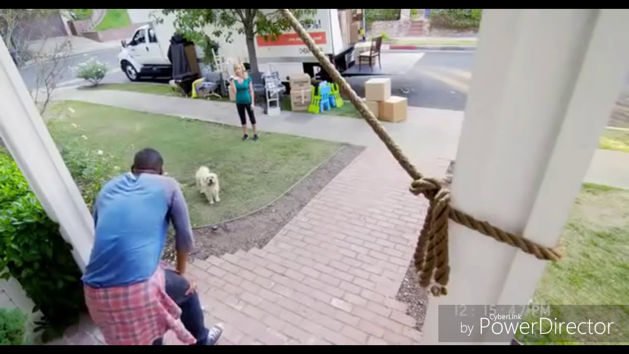 Muerte de Shiloh Junior - YouTube