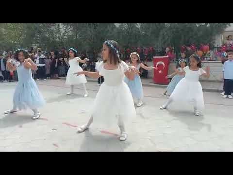23 Nisan Neler oluyor hayatta şehit Mehmet Ali Doğan ilkokulu 2/c