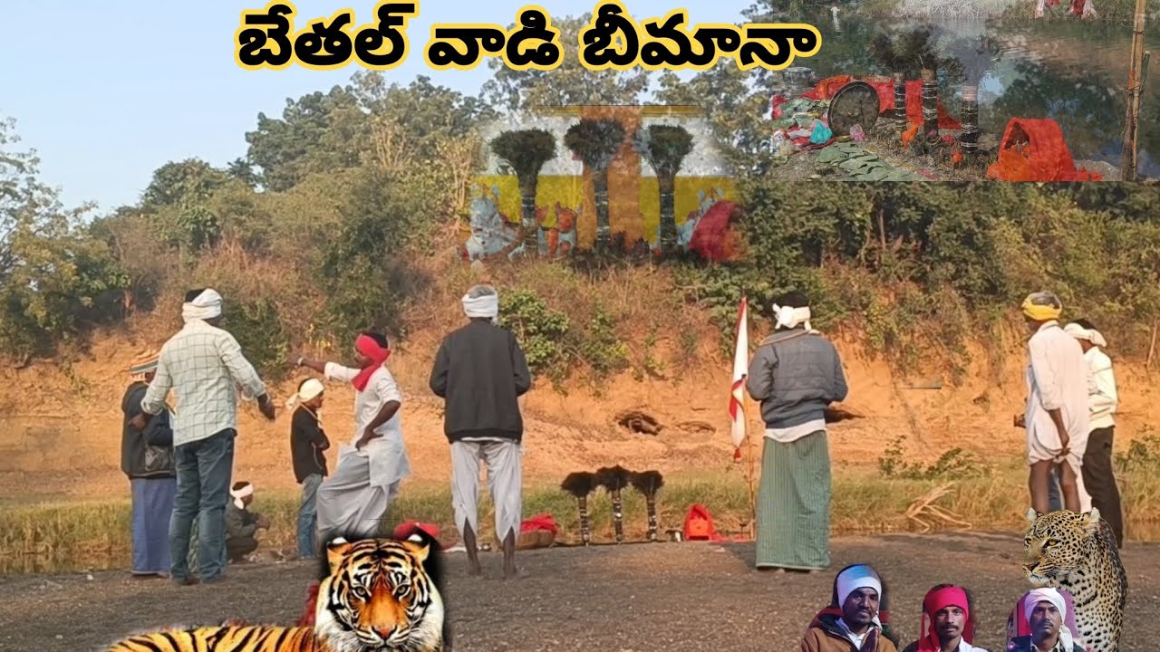 New gondi బేతల్ వాడి అత్రం రాంచంధర్ మన్వాల్ నర్ వావుదాం 2024 Thumram ...