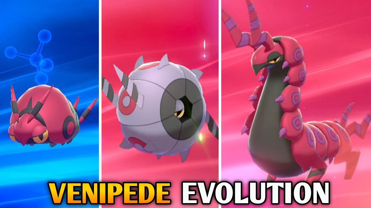 How To Evolve Venipede Into Whirlipede And Scolipede In Pokemon Sword ...