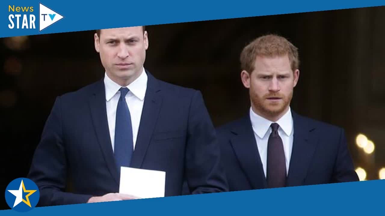 Prince William angry at Prince Harry for 'betrayal', expert claims ...