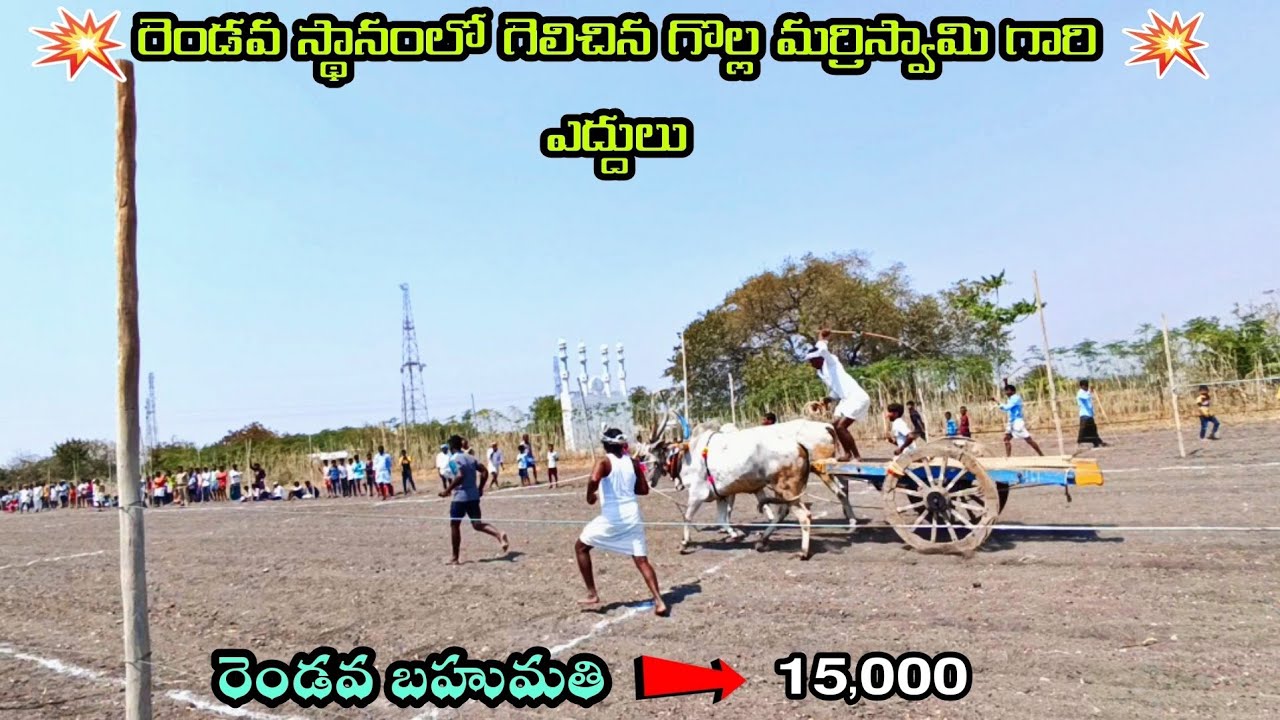 Pedda harivanam eddula giraka bandi || golla marriswami gari eddulu ||# ...