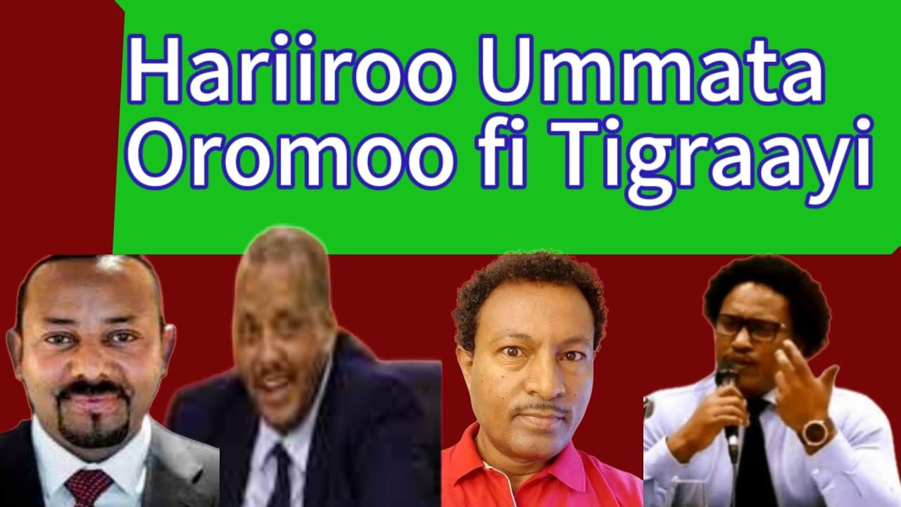 Ummanni Oromoo Ummata Tigraayi Waliin Hariiroo Cimsachuu qaba. - YouTube