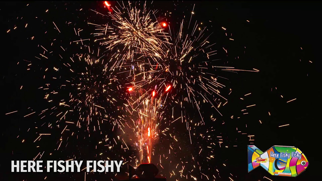 Here Fishy Fishy Fountain Firework - YouTube