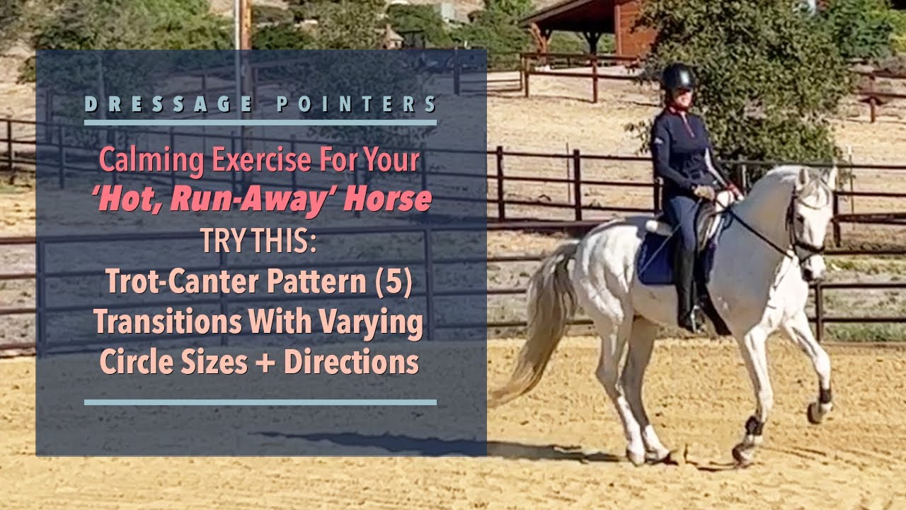 Calming Exercise For A ‘Hot, Run-Away’ Horse: Trot-Canter Pattern (5 ...