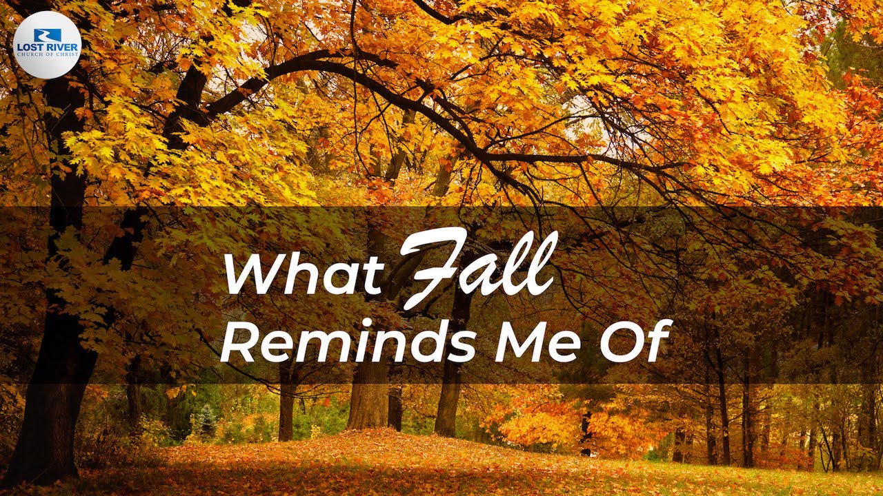 What Fall Reminds Me Of - YouTube