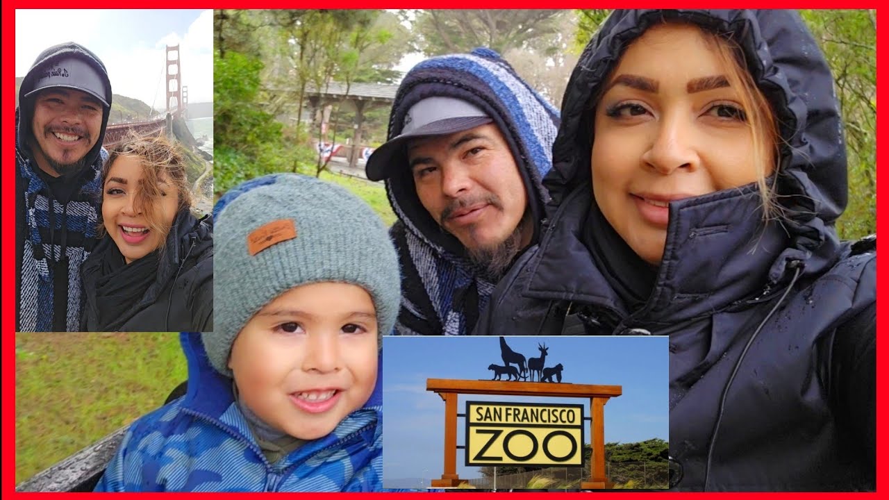 san francisco zoo celebrando el cumple #4 de jorge / vlog #1164 / normy vlogs - YouTube