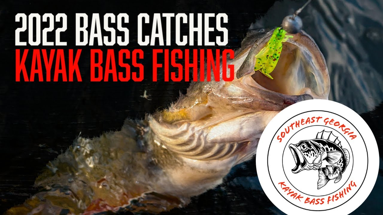 Unbelievable Fishing Action: Catching Bass You Have NEVER Seen Before ...