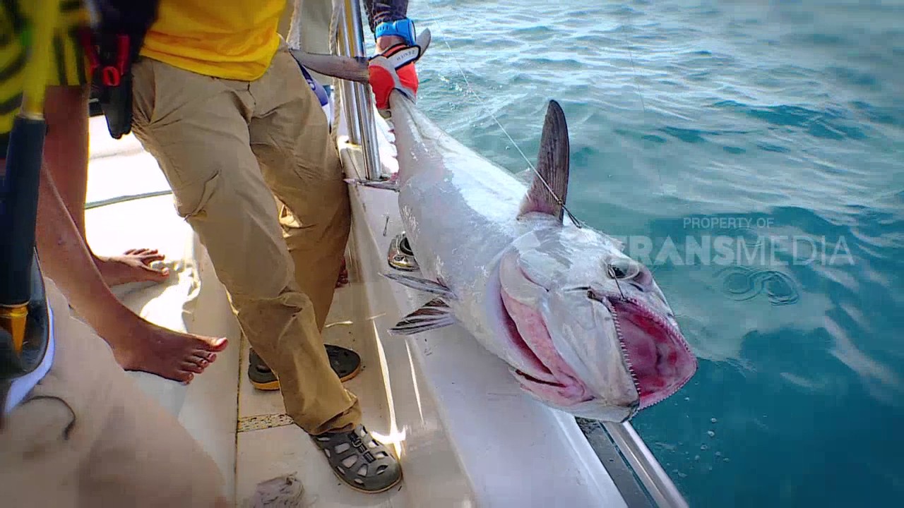 MANCING MANIA - SPOT UTARA LABUAN BAJO (4/2/17) 3-1 - YouTube