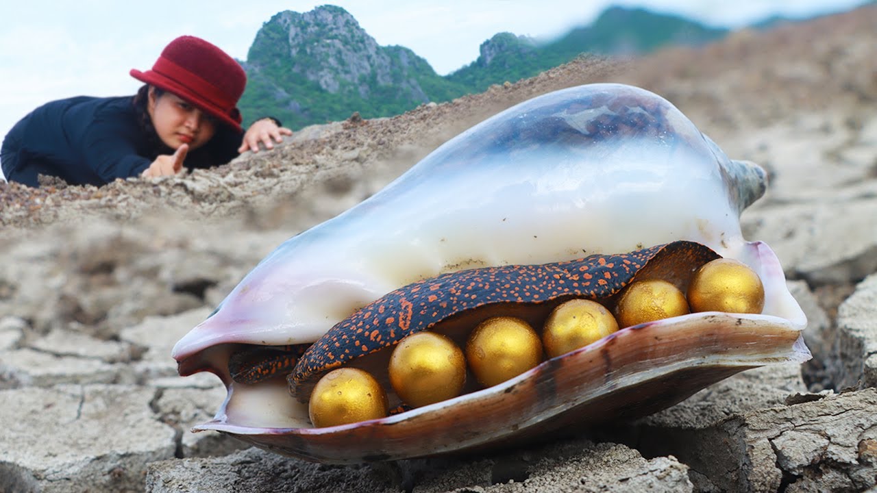 Found Perfect Gold Pearls In Giant Shell Secret Soil Near The Mountain ...