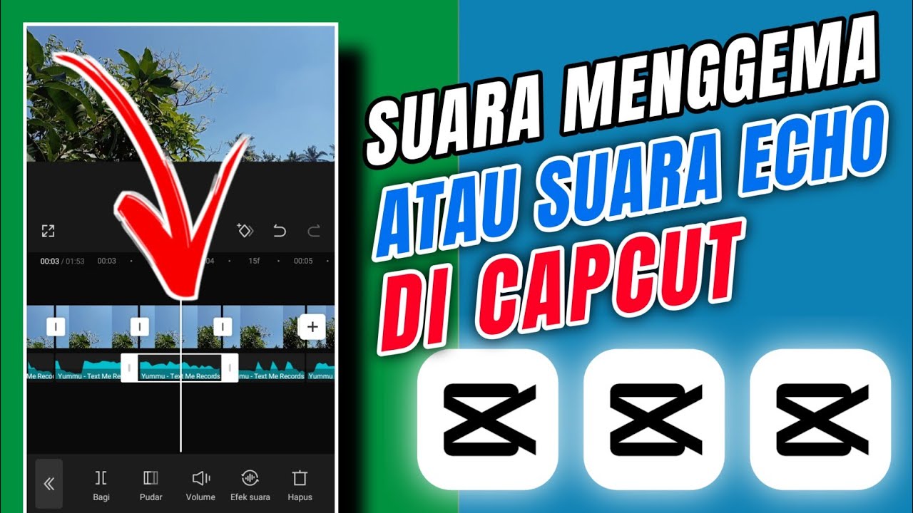 Cara Edit Suara Menggema (ECHO) di Capcut | Tutorial Capcut - YouTube