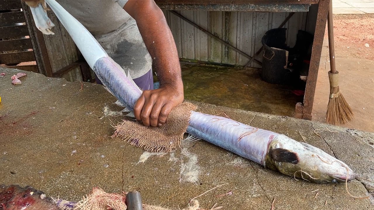 Never Seen! Live Long Eel Fish Skinning & Cutting Skills In Village ...