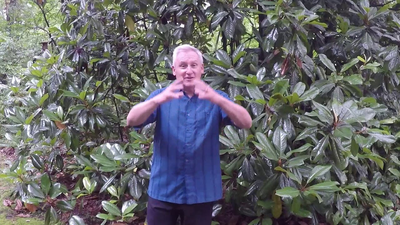 Sermon: Stay Positive (Part 4)...Pastor Doug Harr - YouTube