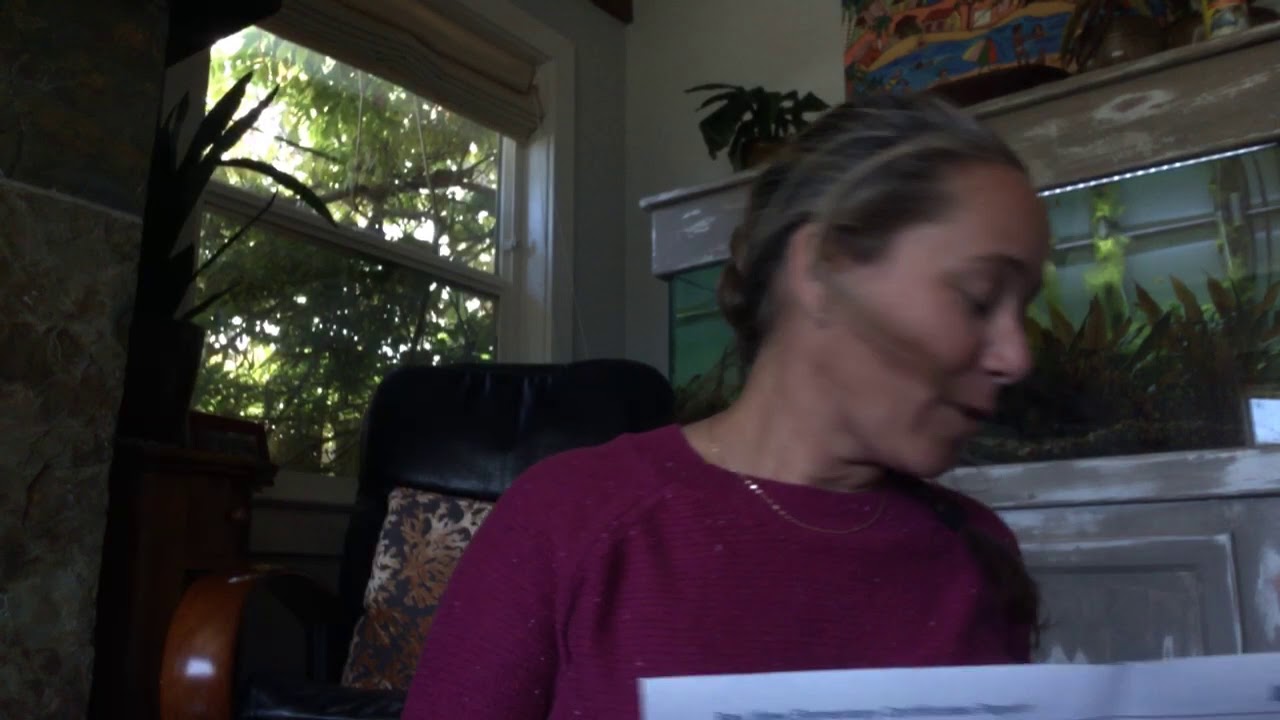 Lexia awards 5/4/20 first grade - YouTube