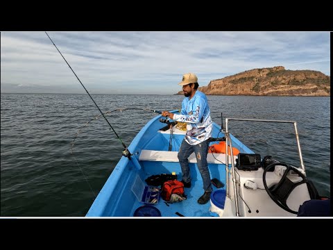 GRAN CARDUMEN!! en 2do día de prueba Sportfishing Pesca KM41 - YouTube
