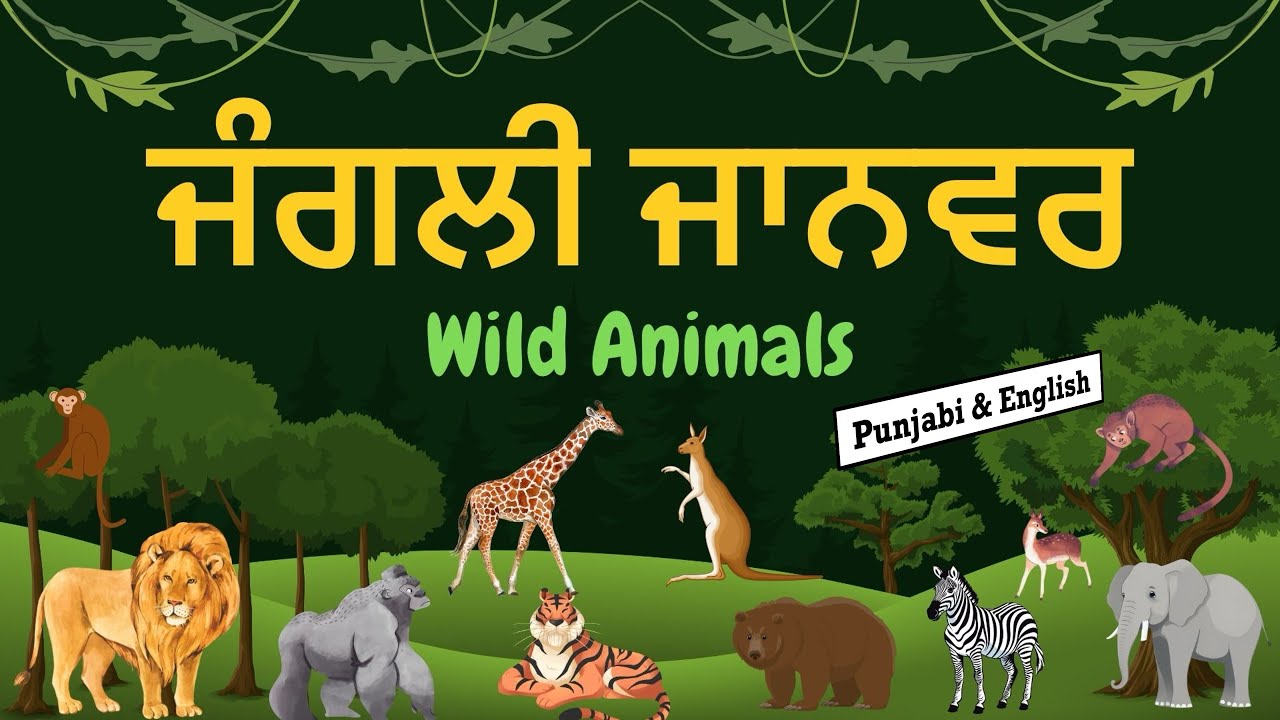 ਜੰਗਲੀ ਜਾਨਵਰ (Jagali janavara) - Wild Animals Name in Punjabi & English ...