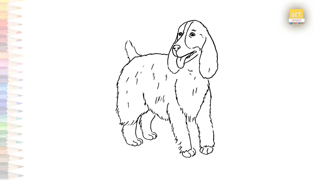 Cocker Spaniel drawing easy | Dog drawings easy | How to draw A Spaniel ...