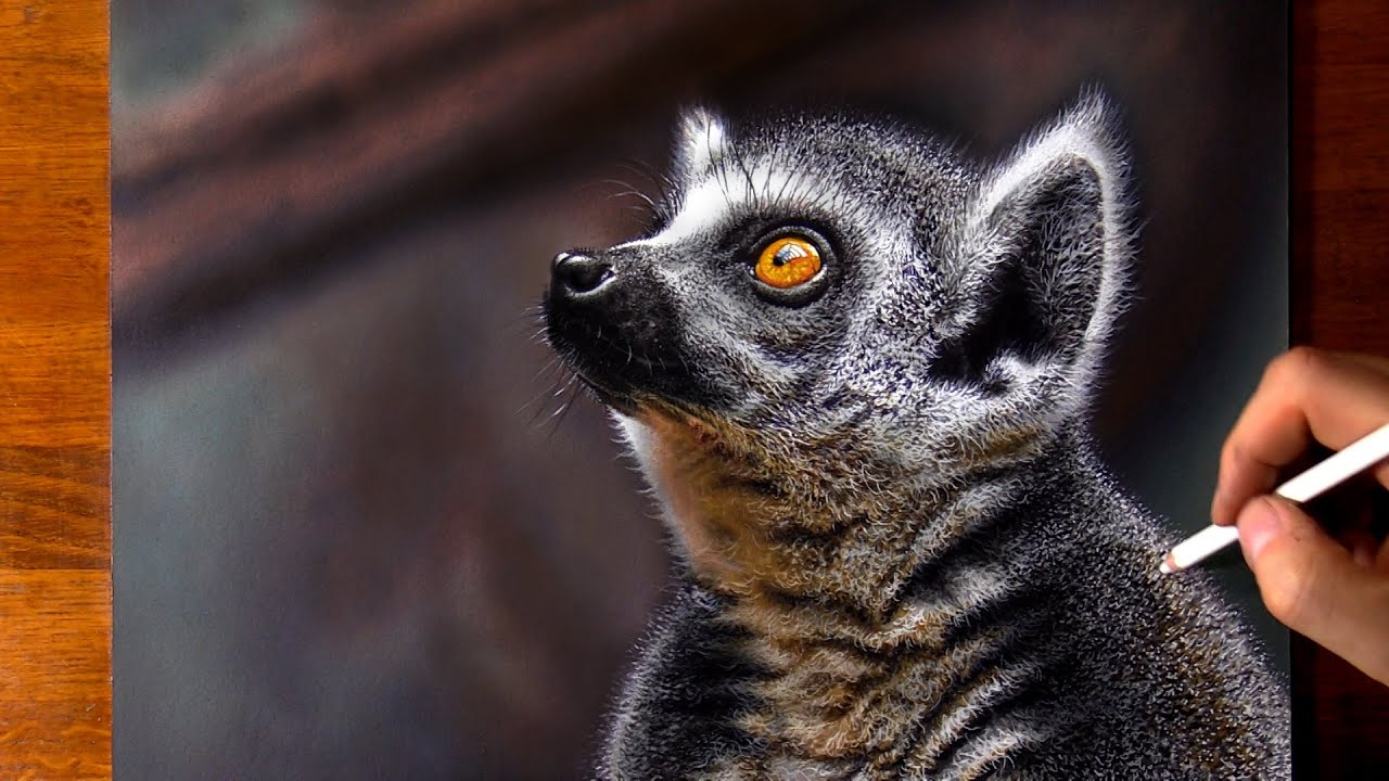 How to draw a Lemur - Time Lapse (Long Version) - YouTube