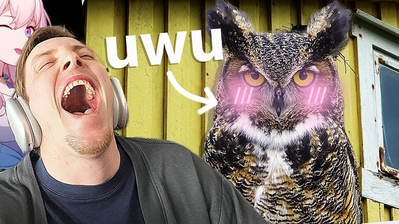 Kawaii Memes, die UWU machen + Honkai - YouTube