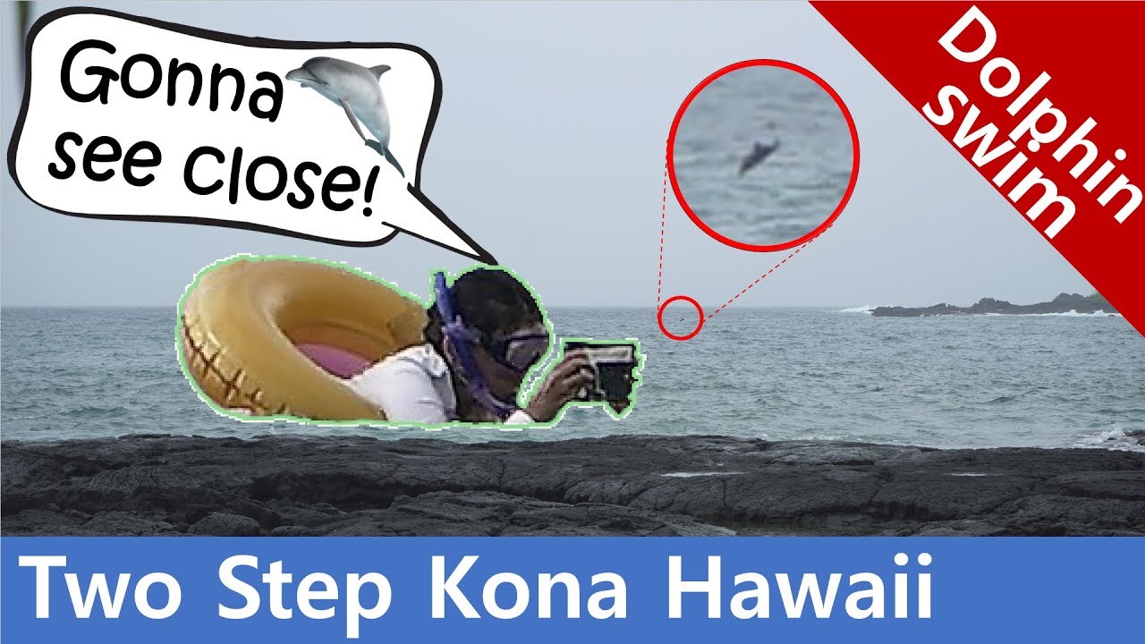 Coming close to Dolphin at Two step beach, Kona Hawaii 1080 - YouTube