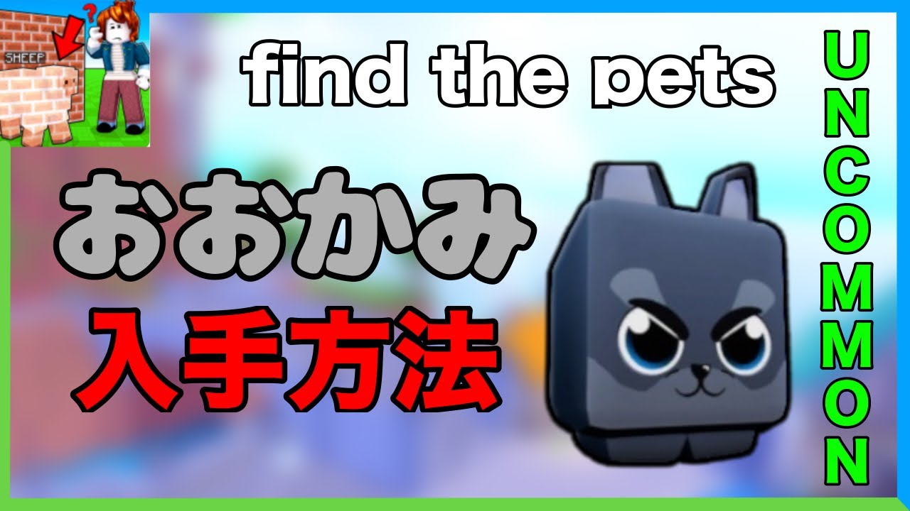 【find the pets ペットを見つける】 [UNCOMMON]おおかみの入手方法 #roblox - YouTube