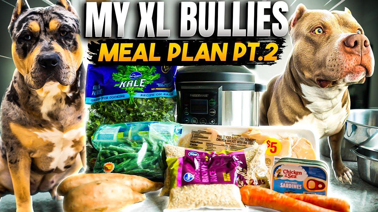Big Dog Diet: What I Feed My XL Bullies - YouTube