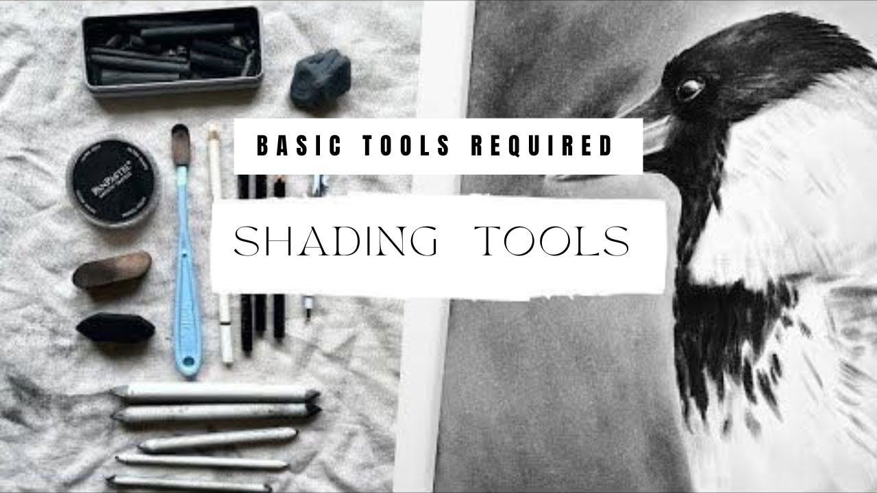 What tools will we use for charcoal drawing | Basic tools required ...