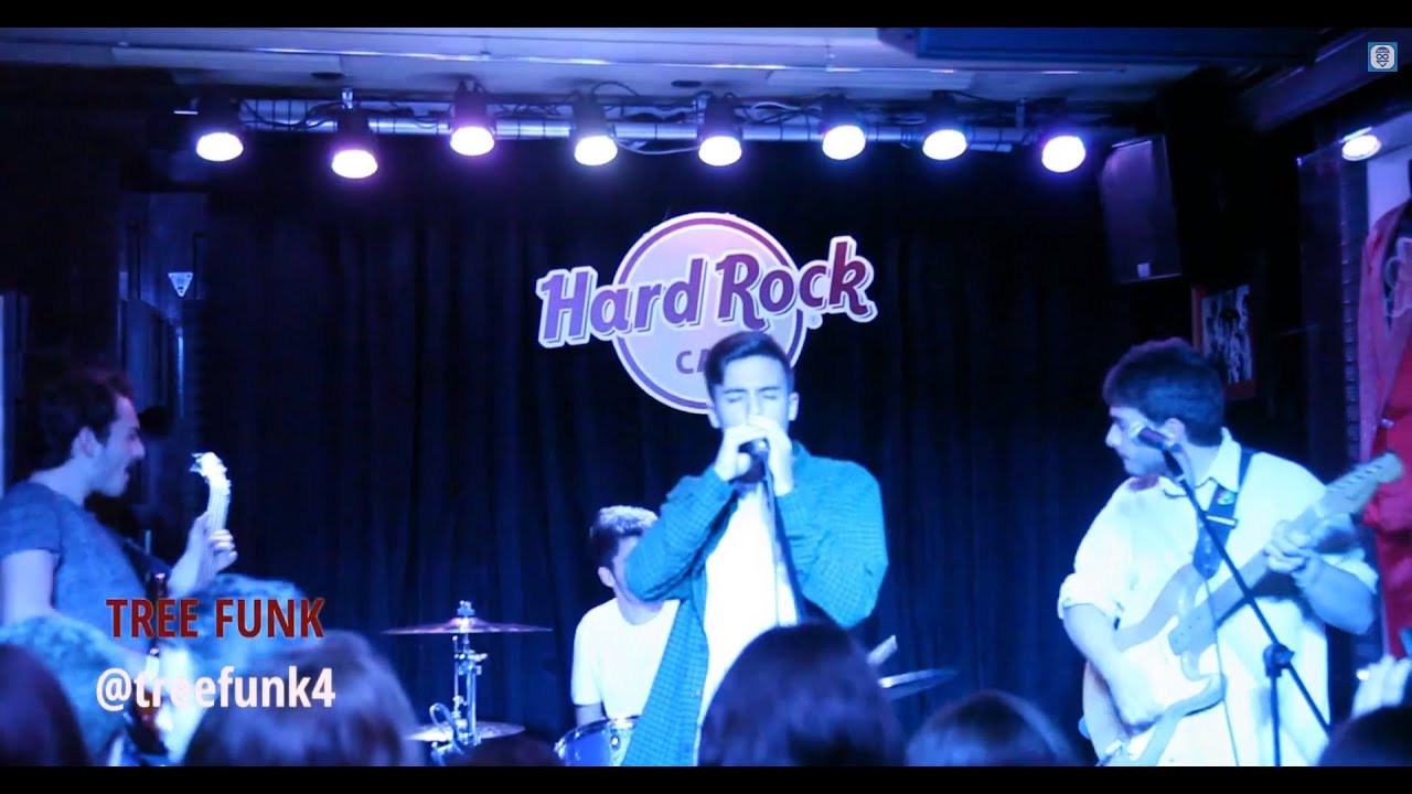Tree Funk | Hard Rock Cafe Madrid - YouTube
