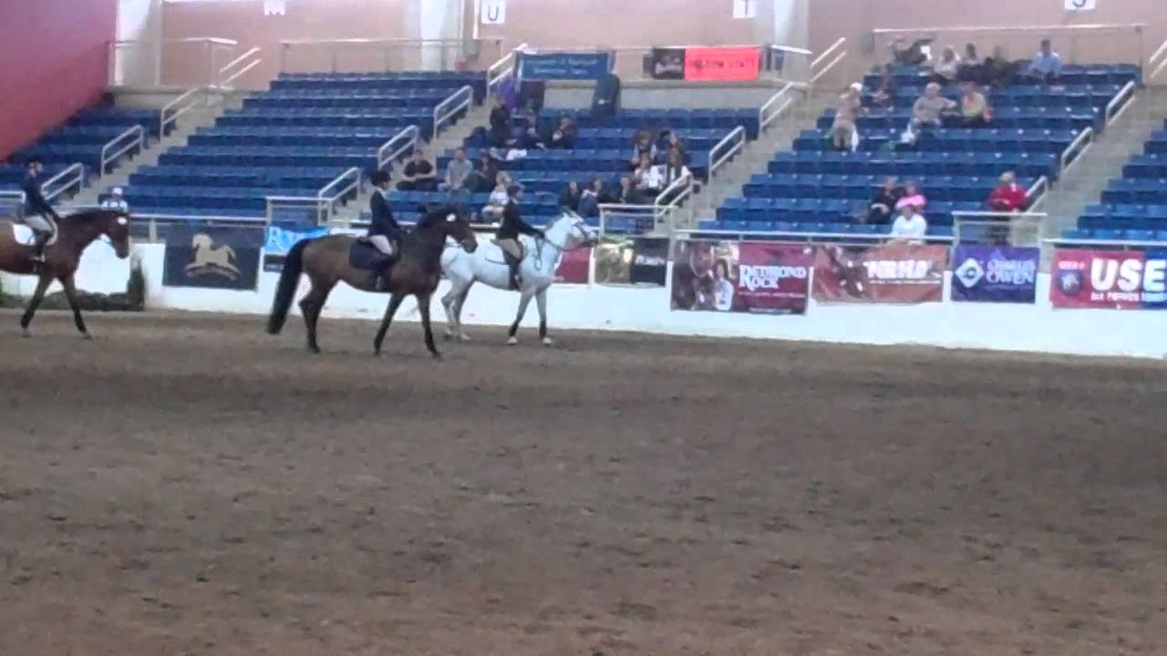 Anna Carmichael & Solo - Team Novice Flat - IHSA Nationals - May 1 ...