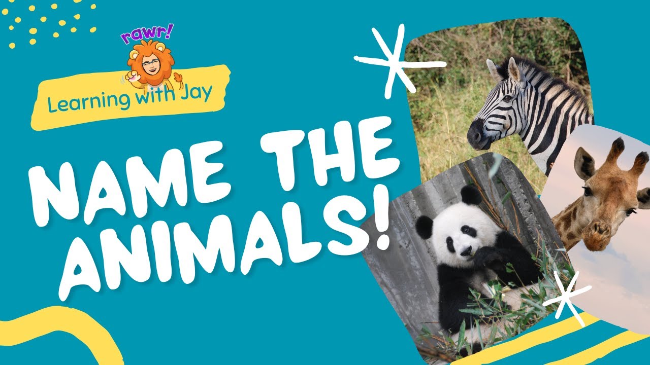 LEARN THE NAME OF THE ANIMALS! IDENTIFY LETTERS, SPELLING, ANIMAL FACTS ...