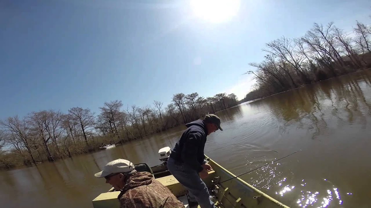 Shad Fishing with JK and Charlie Hall on the Neuse River - YouTube