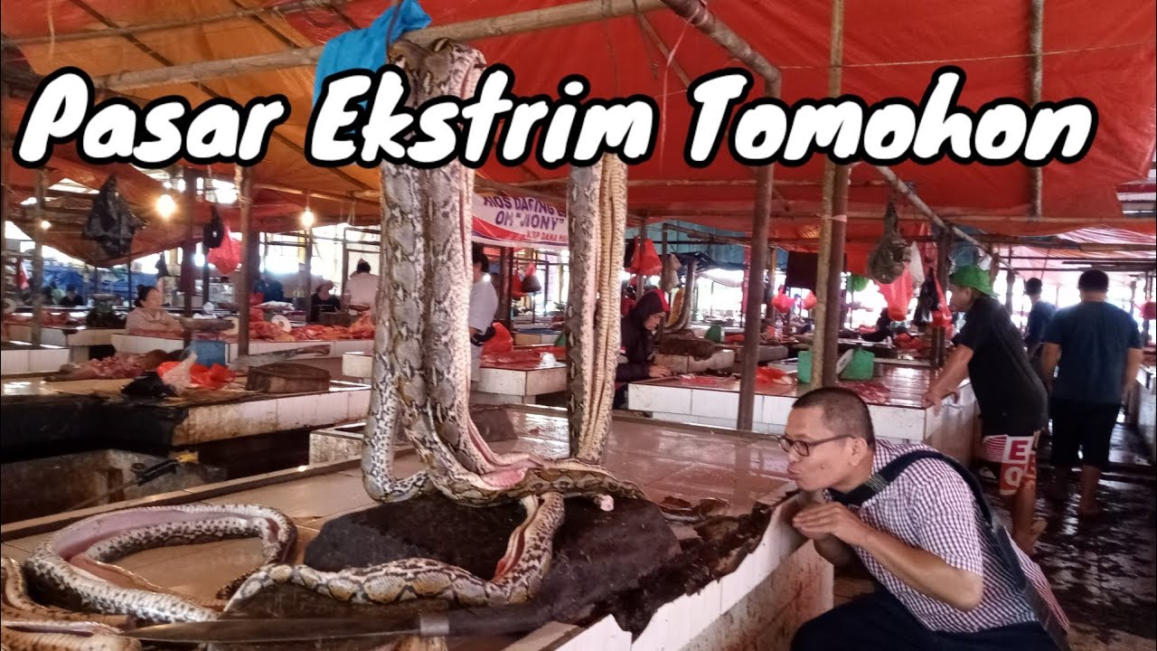 Pasar ekstrim Tomohon - YouTube