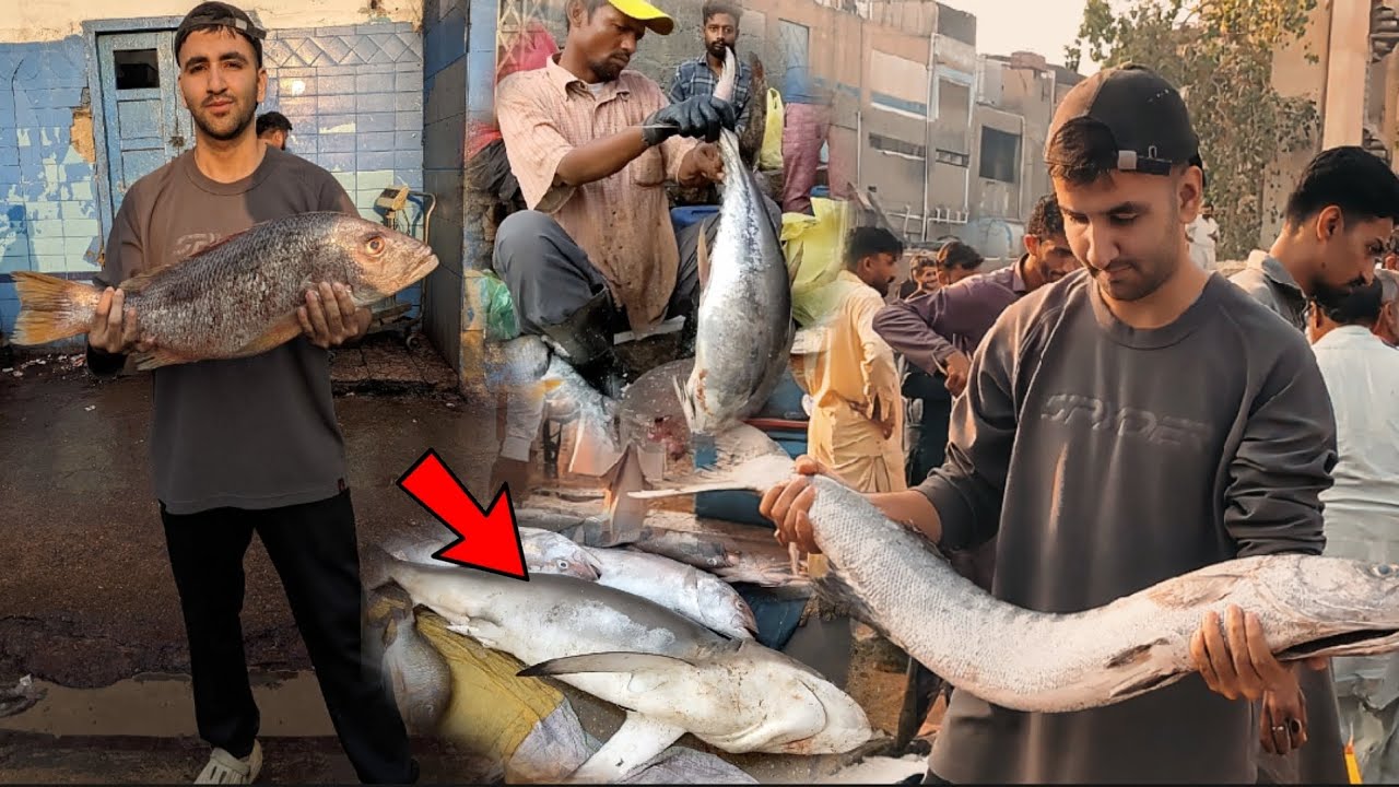 PAKISTAN'S BIGGEST SEAFOOD MARKET 😱 | ITNE KAM PRICES | KARACHI FISH ...